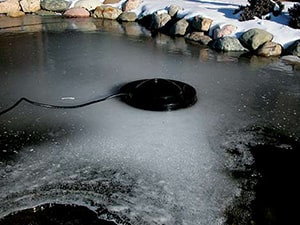 Koi Ponds In Winter